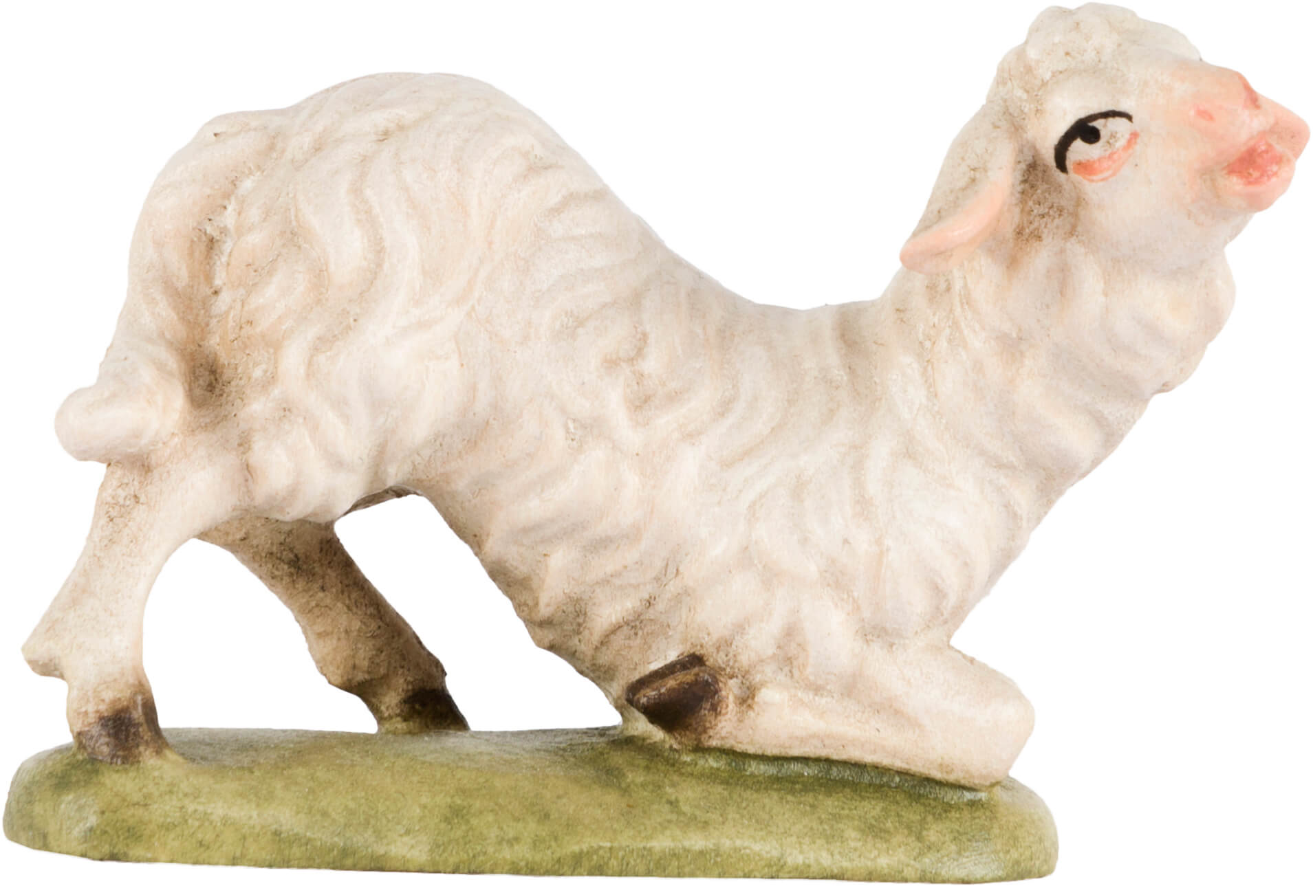 Kneeling Sheep