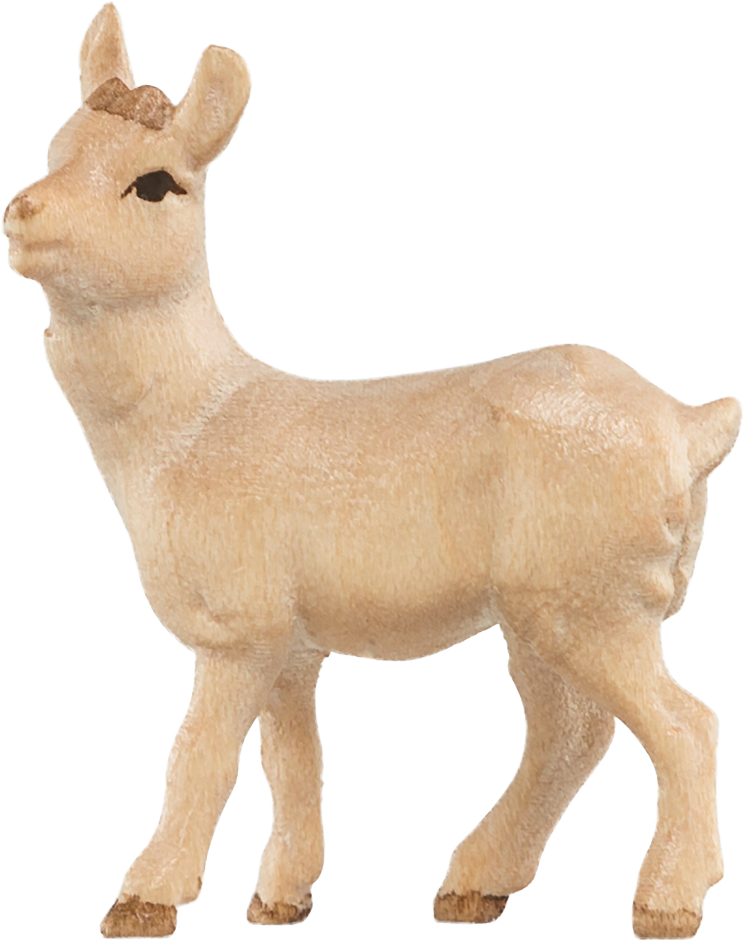 Standing Goat Kid