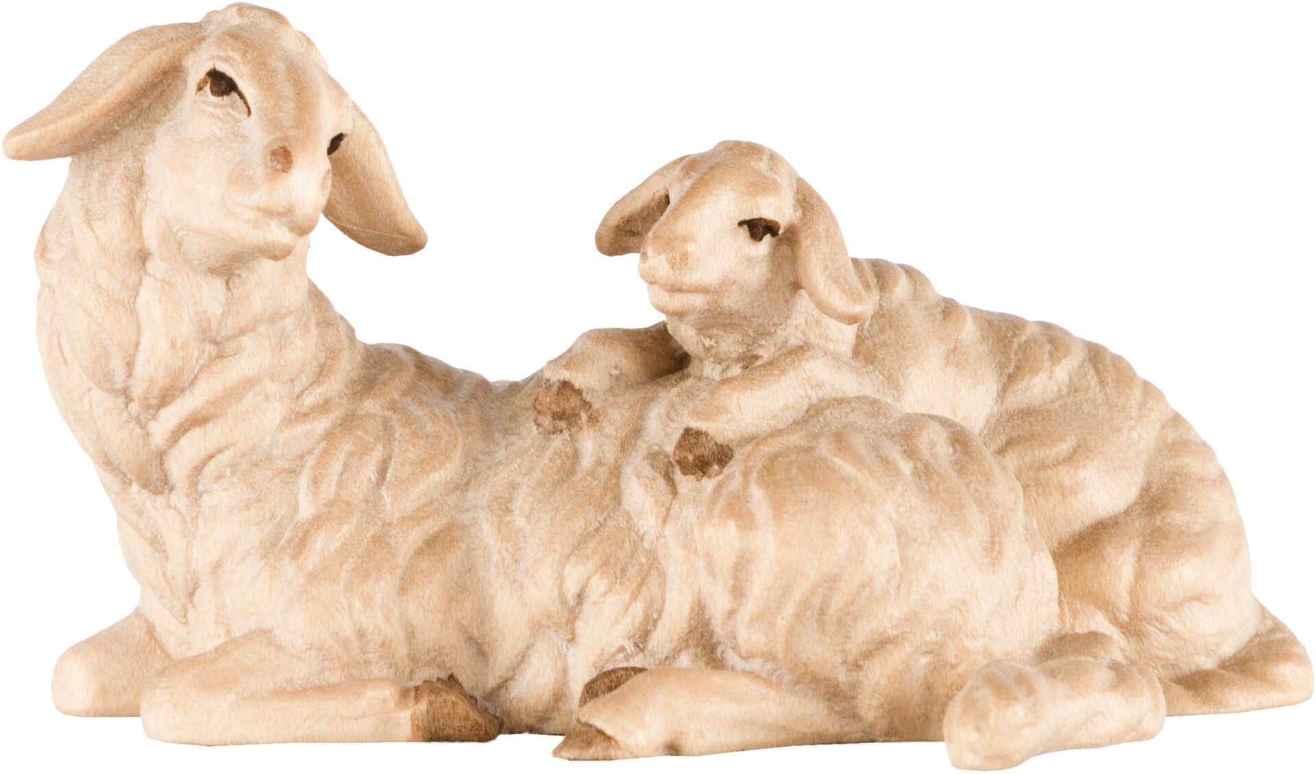 Lying Sheep with Lamb