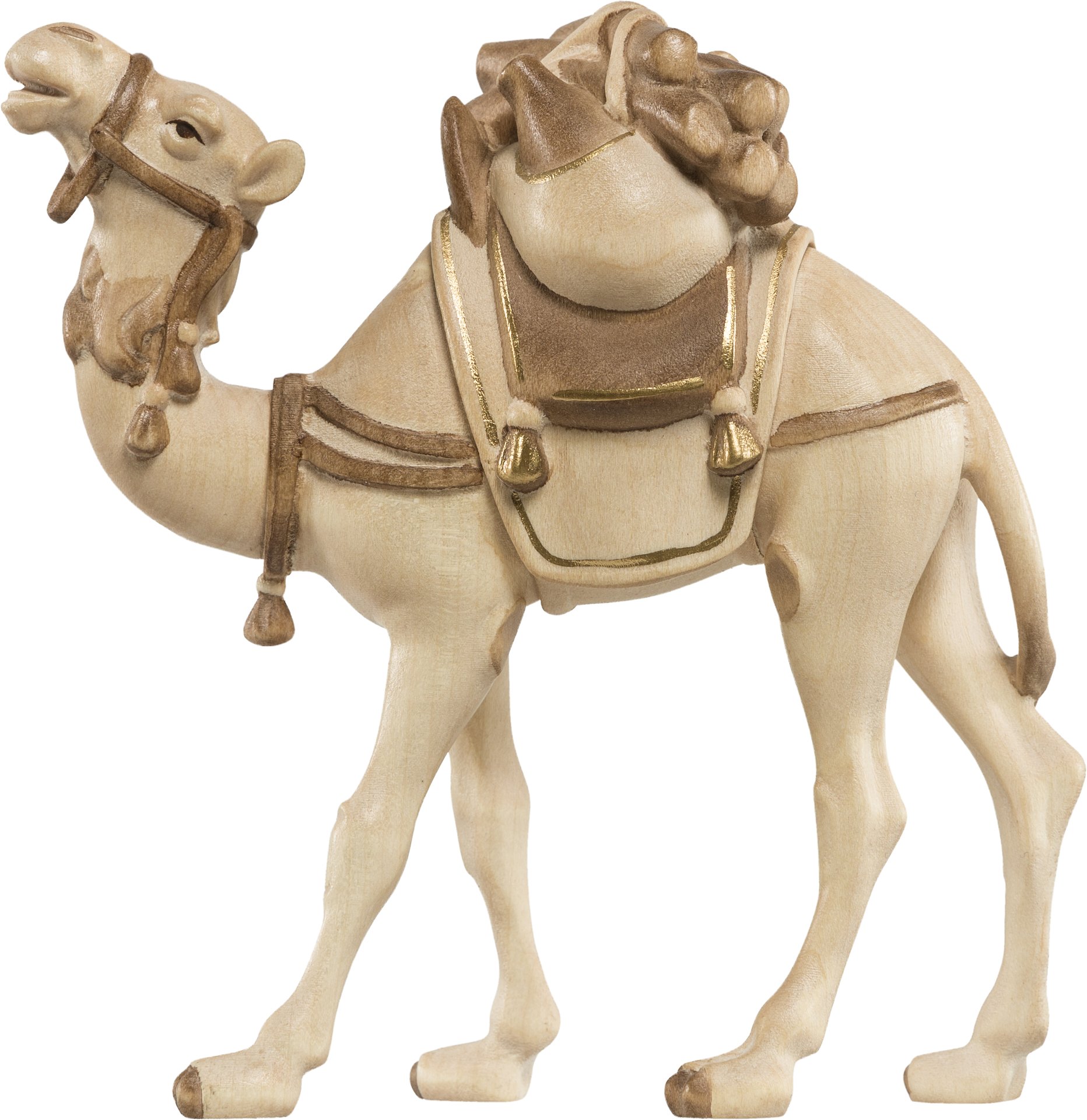 Camel with baggage