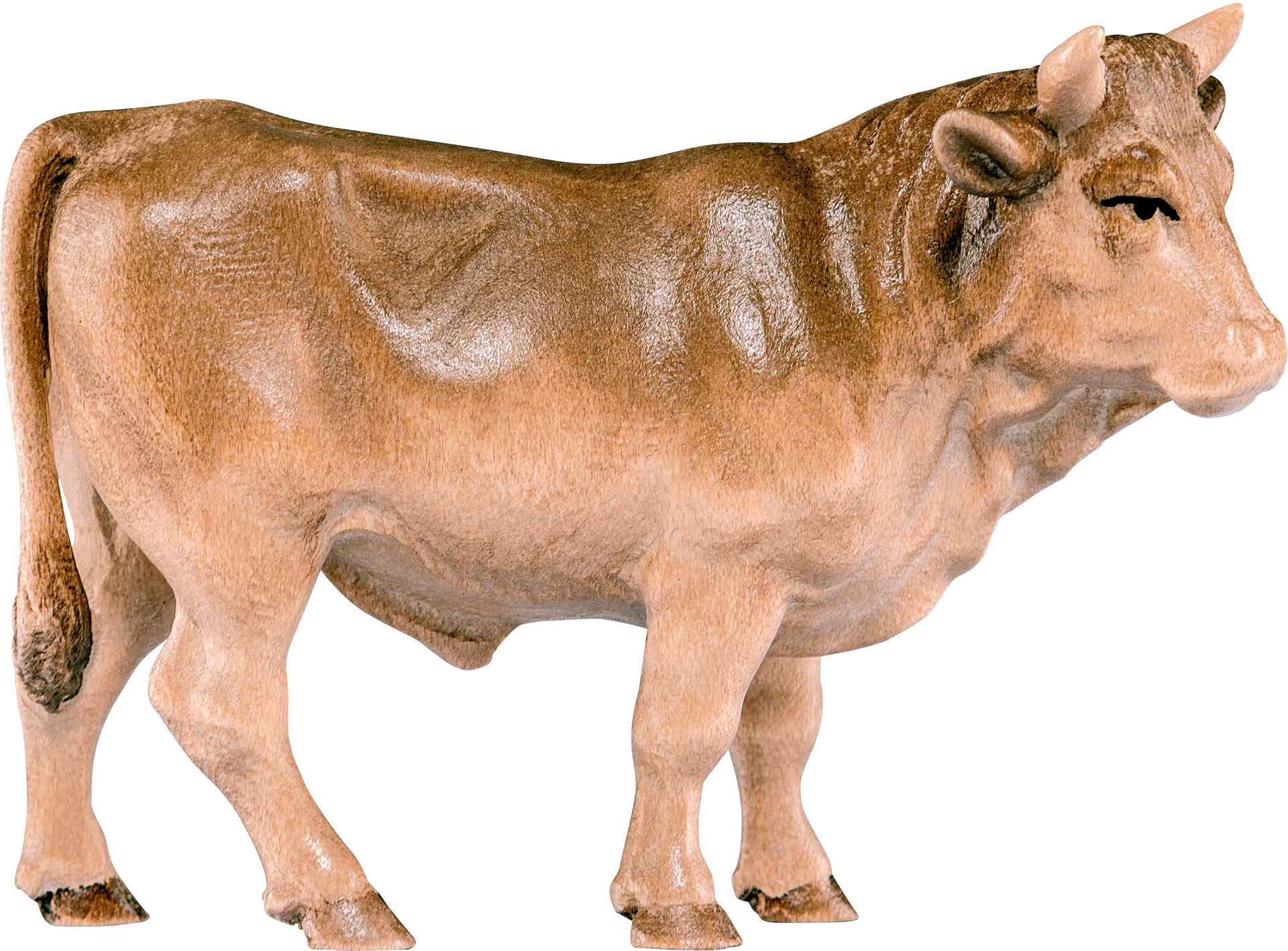 Ox