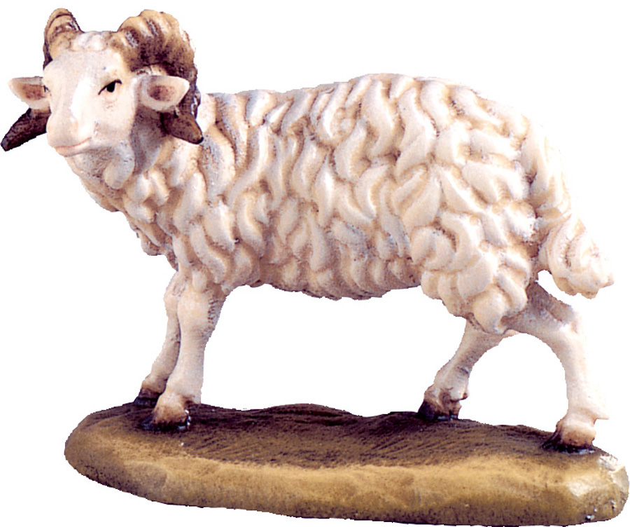 Ram