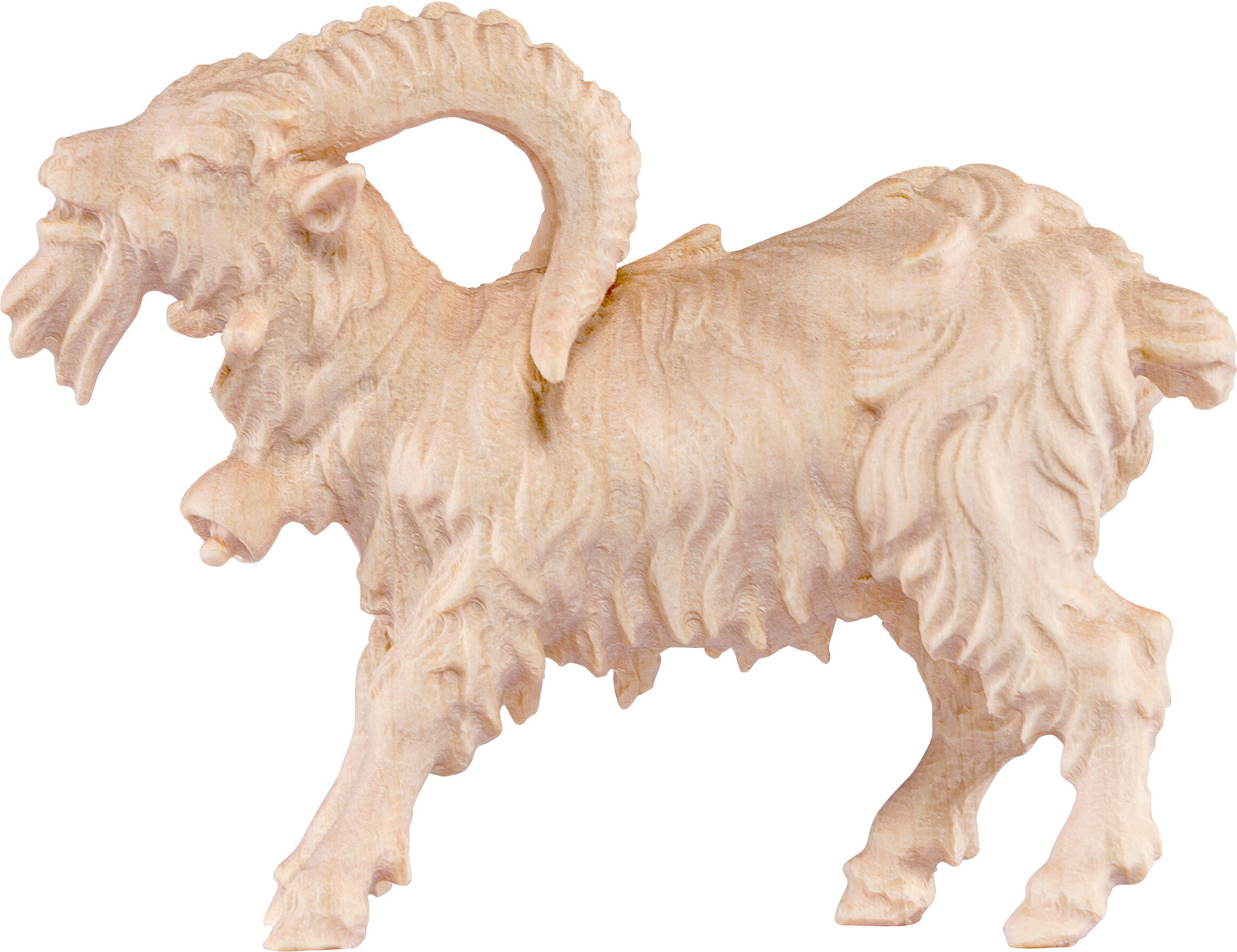 Billy goat