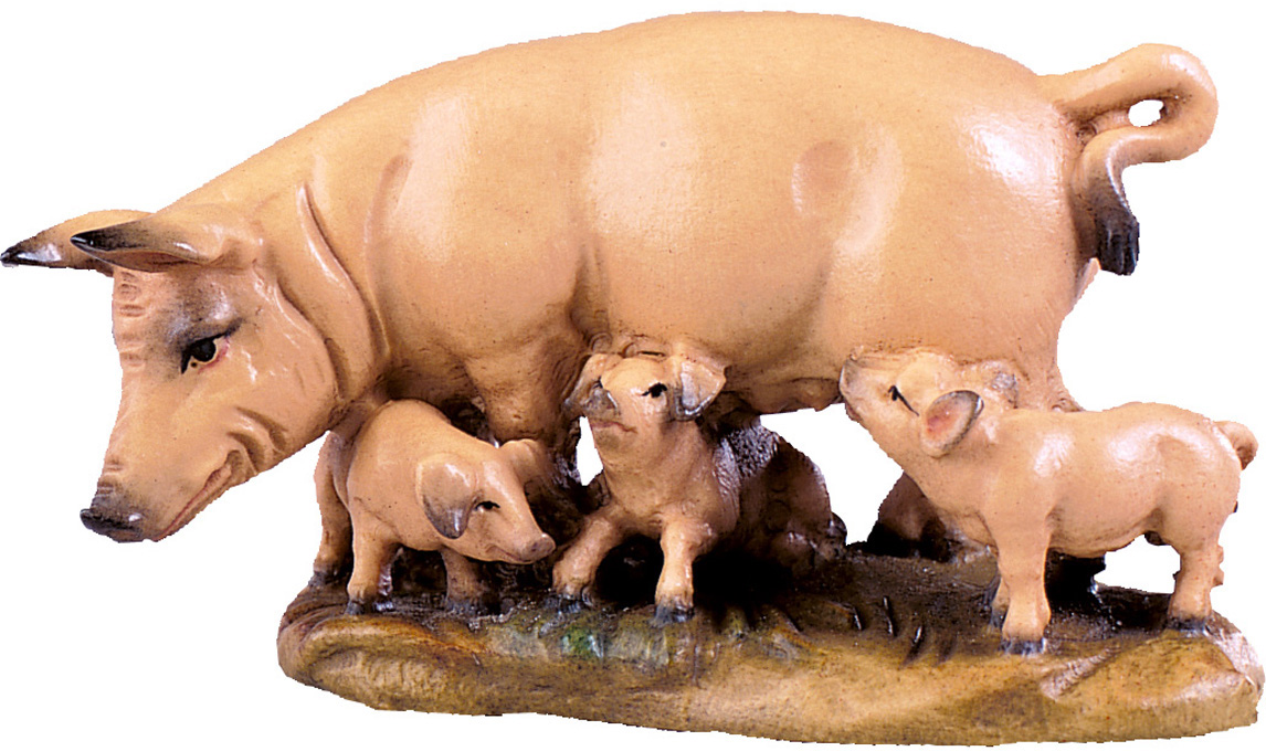 Group of pigs