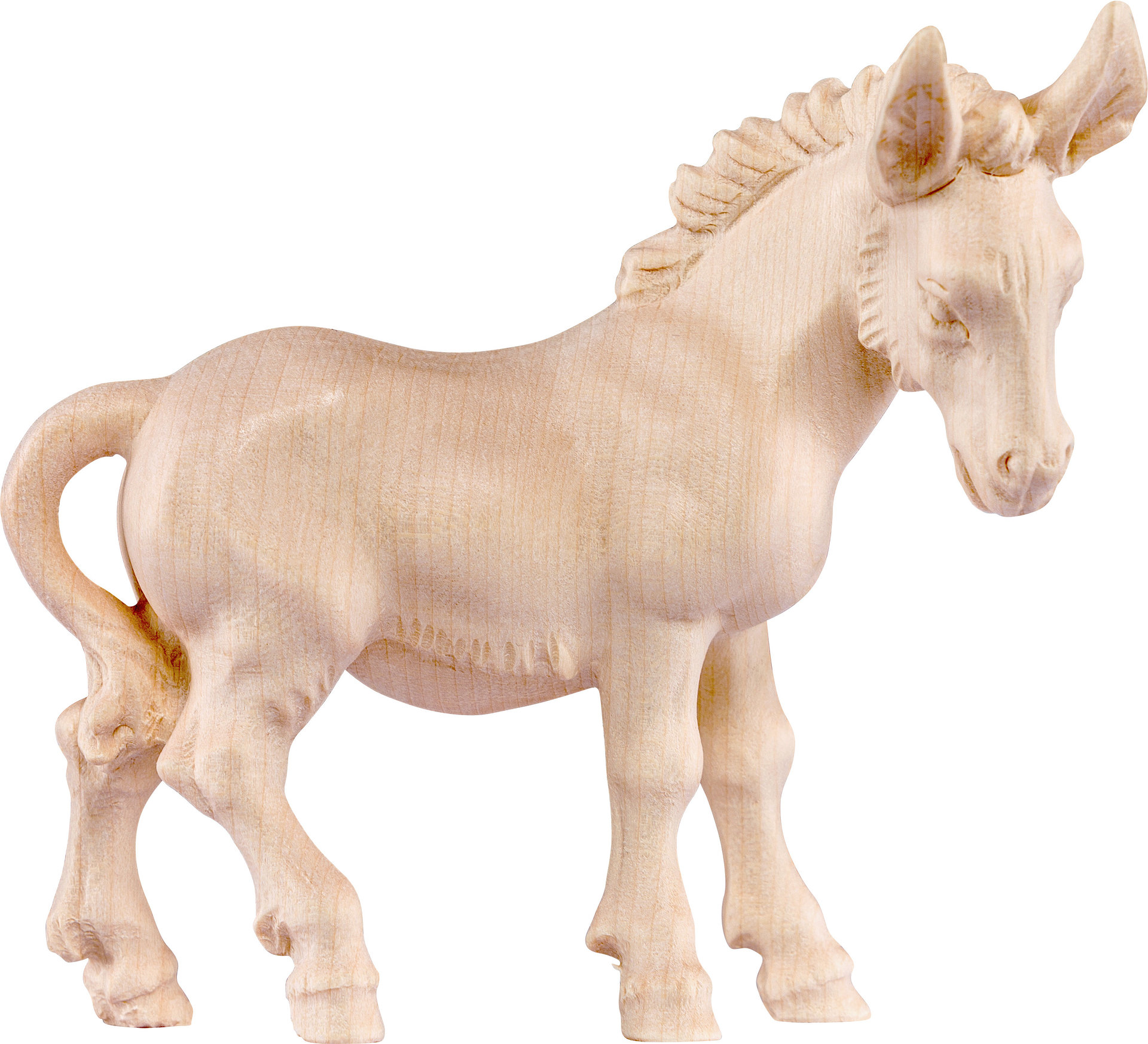 Donkey