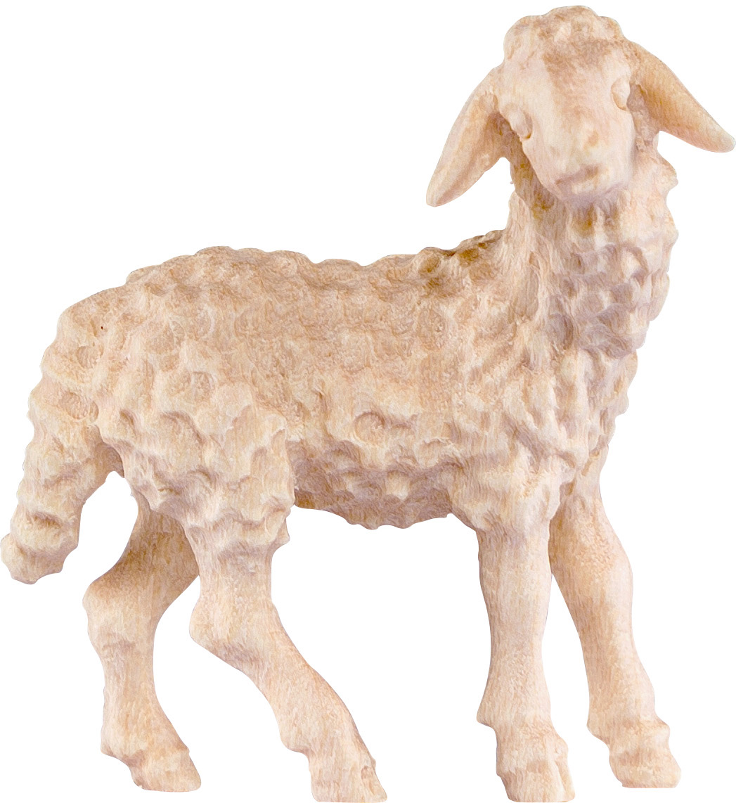Lamb standing